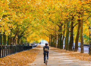 cyclea2 – Inside track